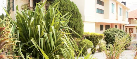 Área da propriedade