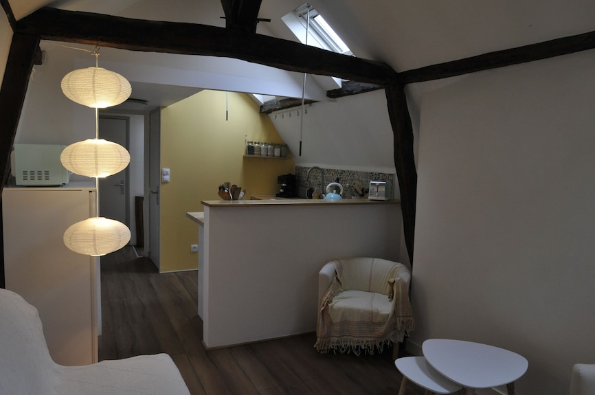 Tours Historique, Appartement Entièrement Rénové - Ibis Styles Tours Centre