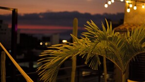 Terraço no telhado com rede, luzes de corda e palmeira.
