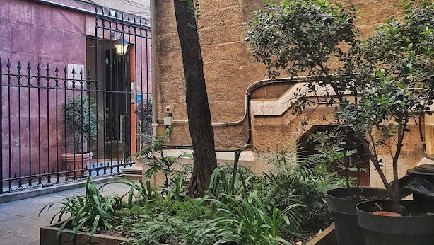 Um pátio com um edifício de tijolos, uma árvore e plantas em vasos.