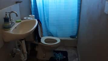 Apartamento básico, 1 cama de casal | Banheiro | Chuveiro, produtos de toalete grátis, secador de cabelo, sabonete