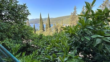 Apartamento Standard, 2 quartos (650/1557) | Varanda