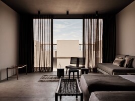 Premium Twin Terrace | Minibar, cofre no quarto, Wi-fi grátis, roupa de cama fornecida 