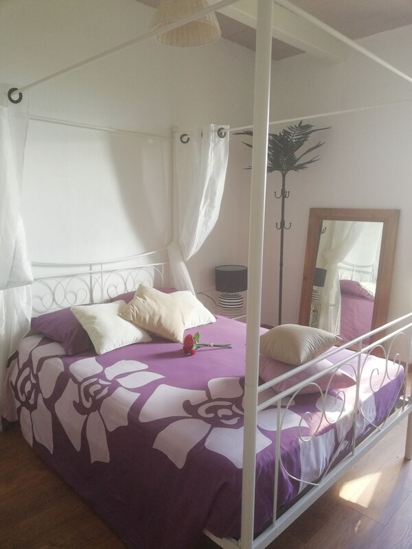 Parfumu Di Celu - Corte