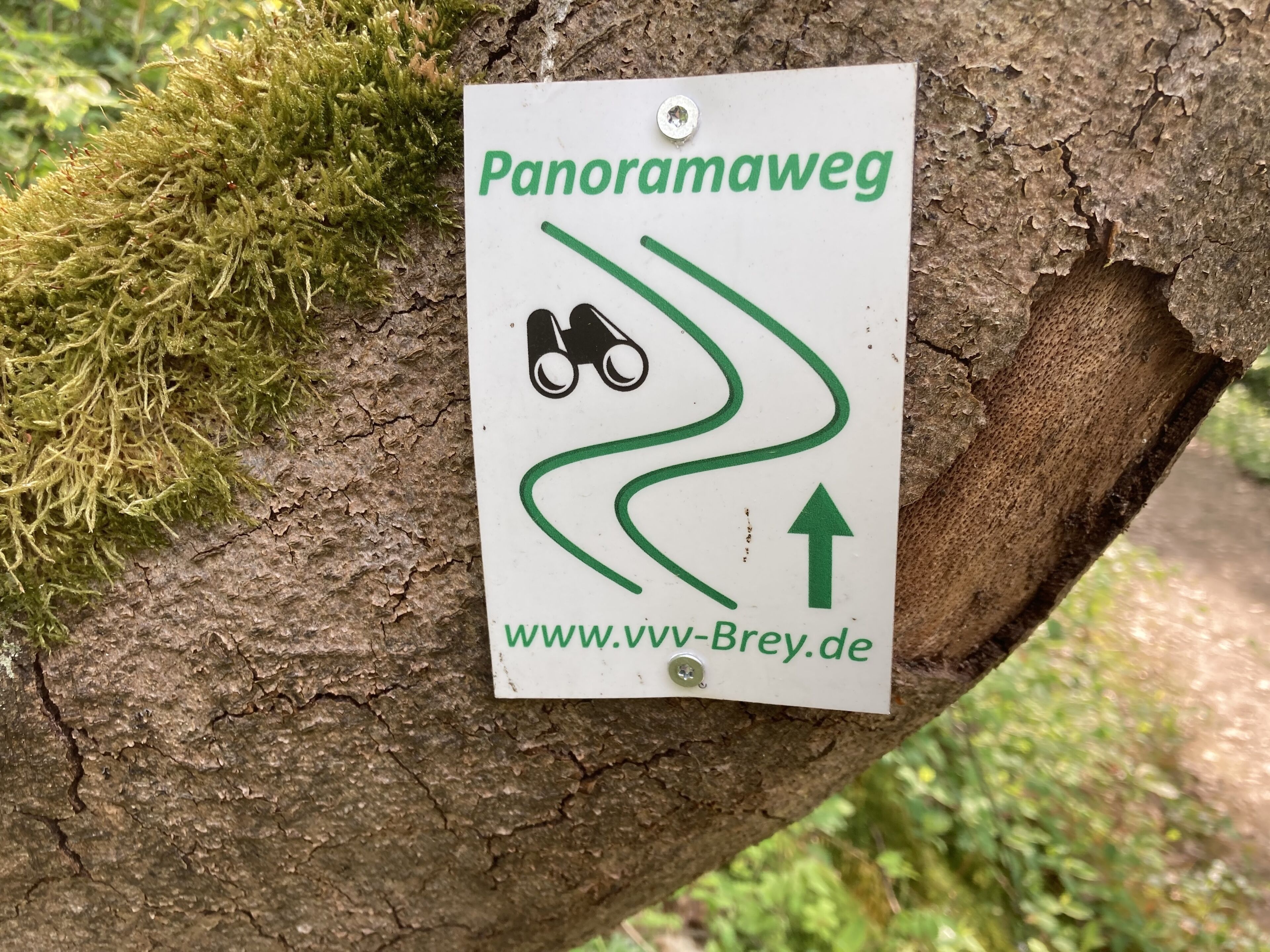 Uma placa numa árvore com o texto 'Panoramaweg' e um endereço de site.