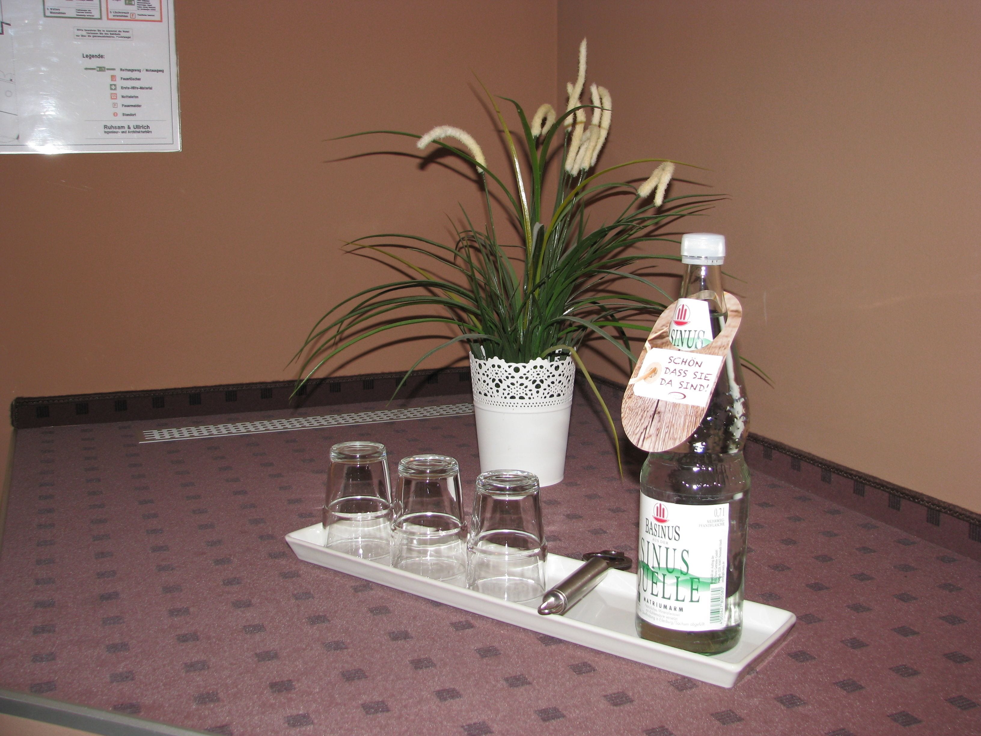 Uma mesa com um frasco de Basinus Sinus Salve, quatro copos vazios e um vaso de planta.