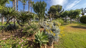 Um jardim com diversas plantas, incluindo cactos e árvores, e um gramado bem cuidado.
