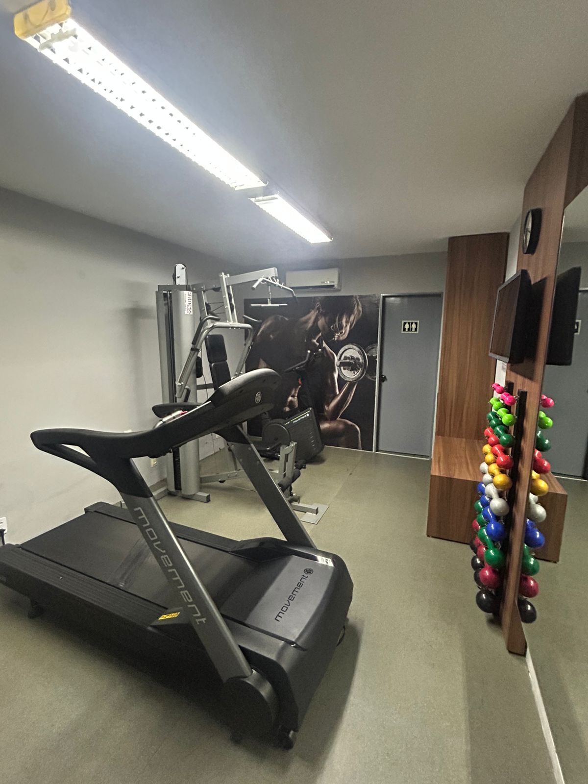 Uma academia com esteira, máquinas de musculação e suporte de bolas fixado na parede.