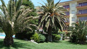 Um jardim bem cuidado com palmeiras e um edifício com varandas ao fundo.