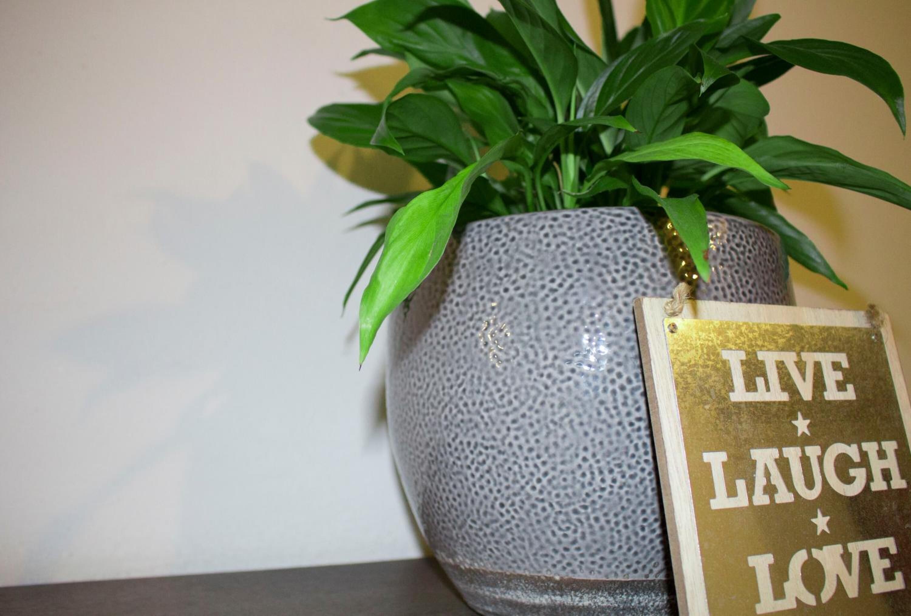 Um vaso de planta com textura cinzenta e uma placa com a inscrição 'LIVE LAUGH LOVE'.