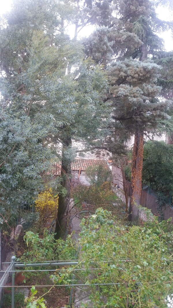 Petit Appartement (3 Couchages) En Location Pour Le Festival D'avignon - Avignon