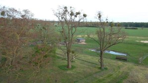 Paisagem rural com duas árvores, um pequeno celeiro e um lago.