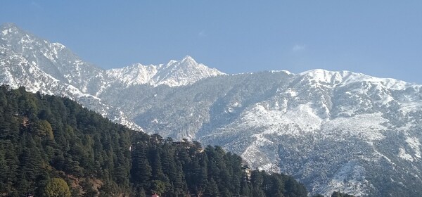 Super Deluxe Room - Dharamshala