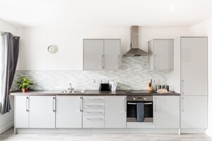 Apartamento luxo, 1 cama de casal e sofá-cama | Cozinha privada | Geladeira grande, fogão, cooktop, chaleira elétrica