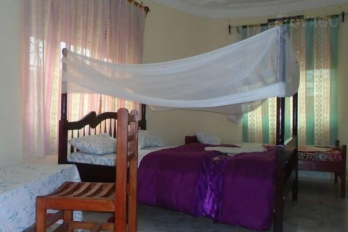 Secretária, Wi-fi grátis, roupa de cama fornecida