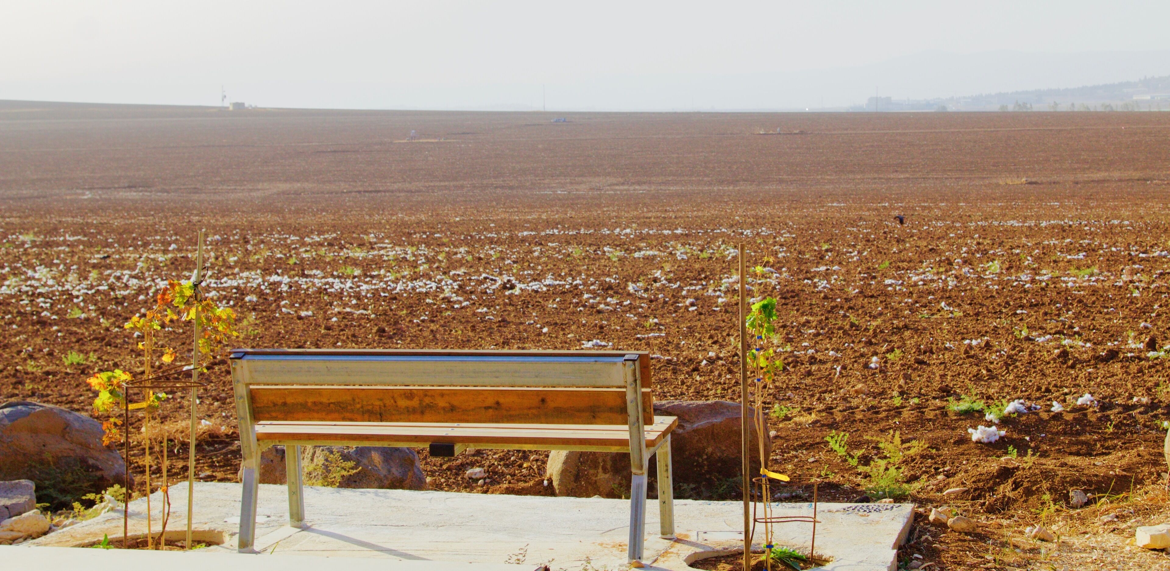 Um banco em um campo com vegetação escassa e construções ao longe.