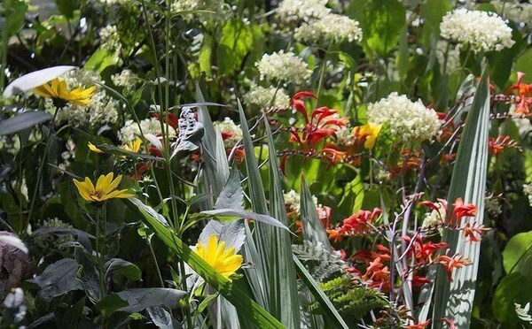 The Old Stables - Rutland