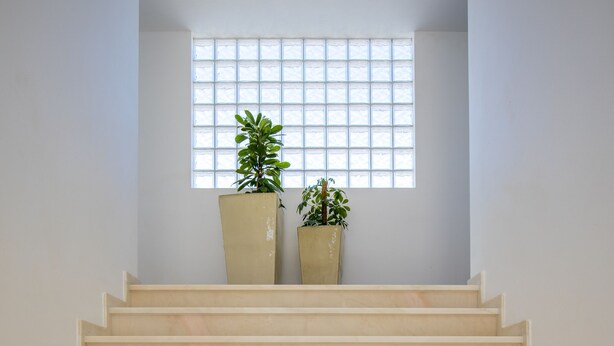 Uma escadaria com corrimão, que leva a um patamar com uma janela e duas plantas em vasos.