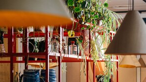 Uma cozinha com uma estante vermelha que acomoda diversos utensílios de cozinha e plantas.