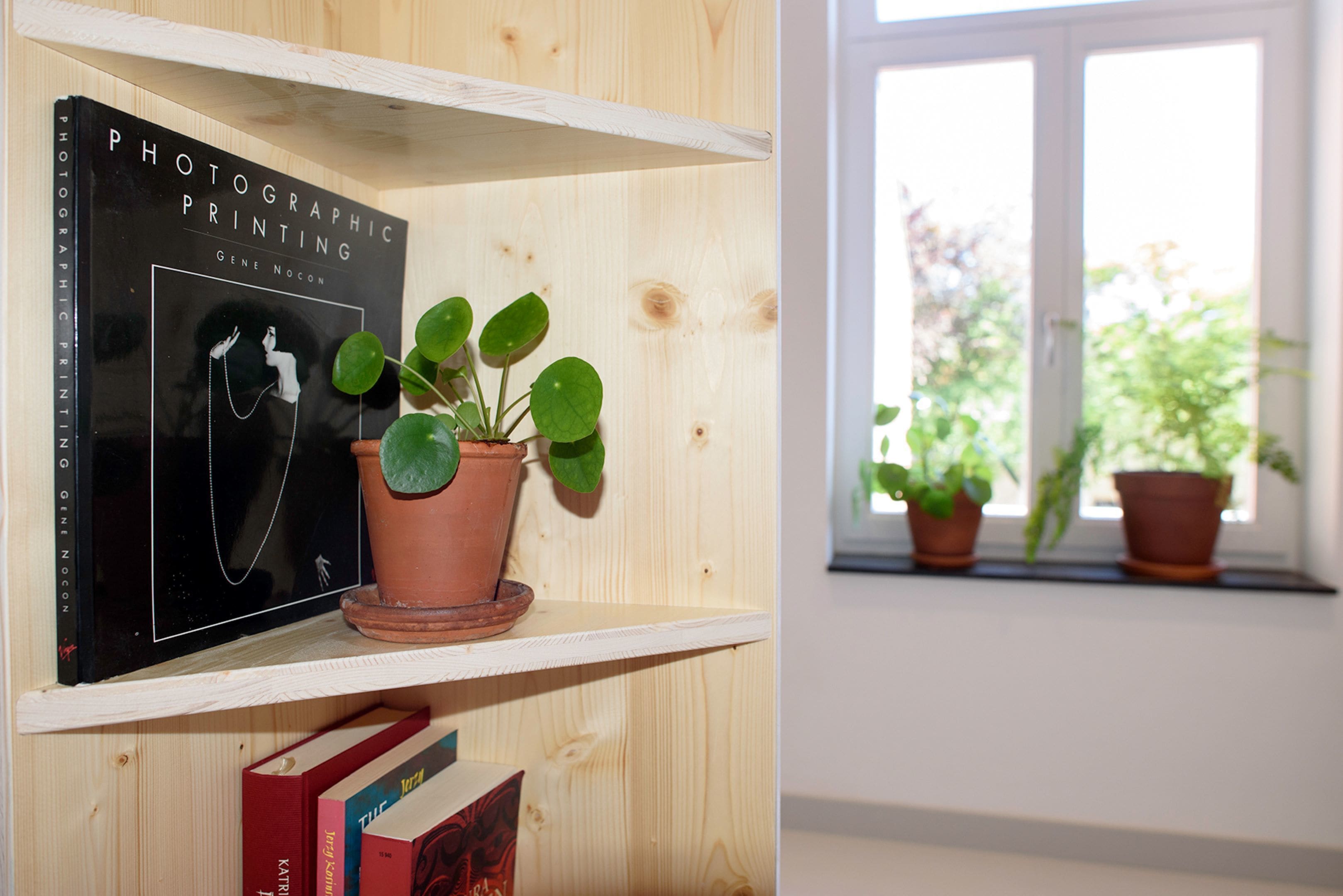 Uma estante de madeira com um livro intitulado 'Photographic Printing' e um vaso com planta.