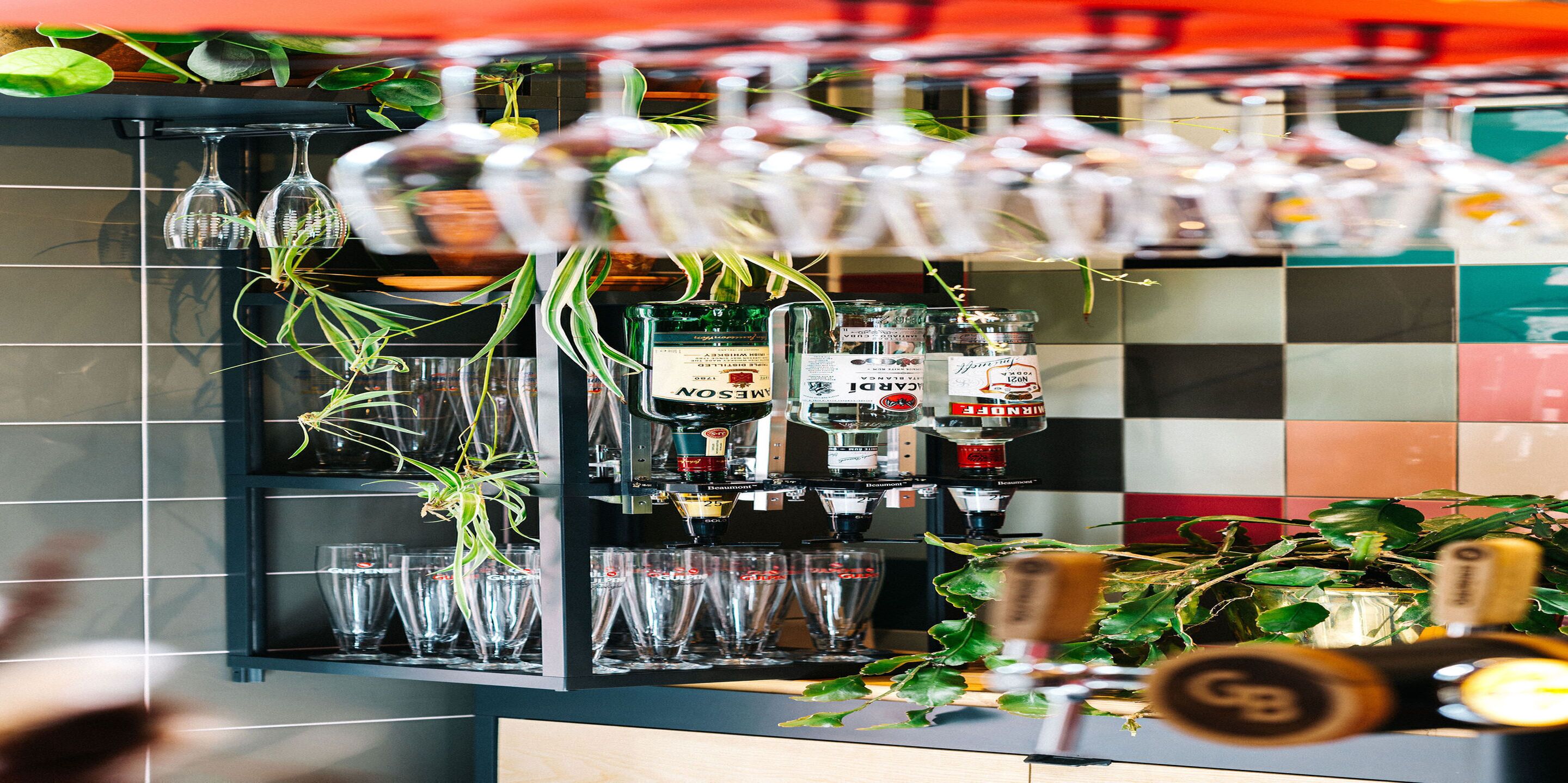 Uma área de bar com várias prateleiras contendo copos, garrafas e uma planta.