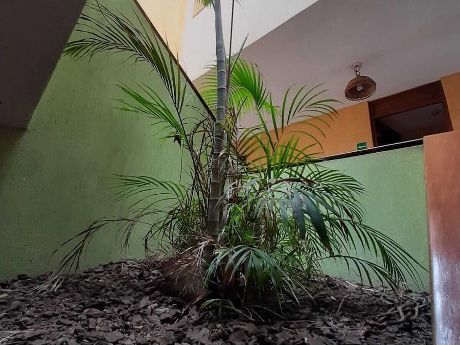 Televisor LED de 32 polegadas com canais por cabo, televisor