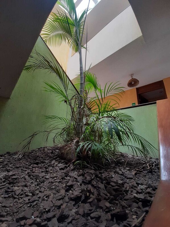 TV LED 32 polegadas com canais a cabo, TV