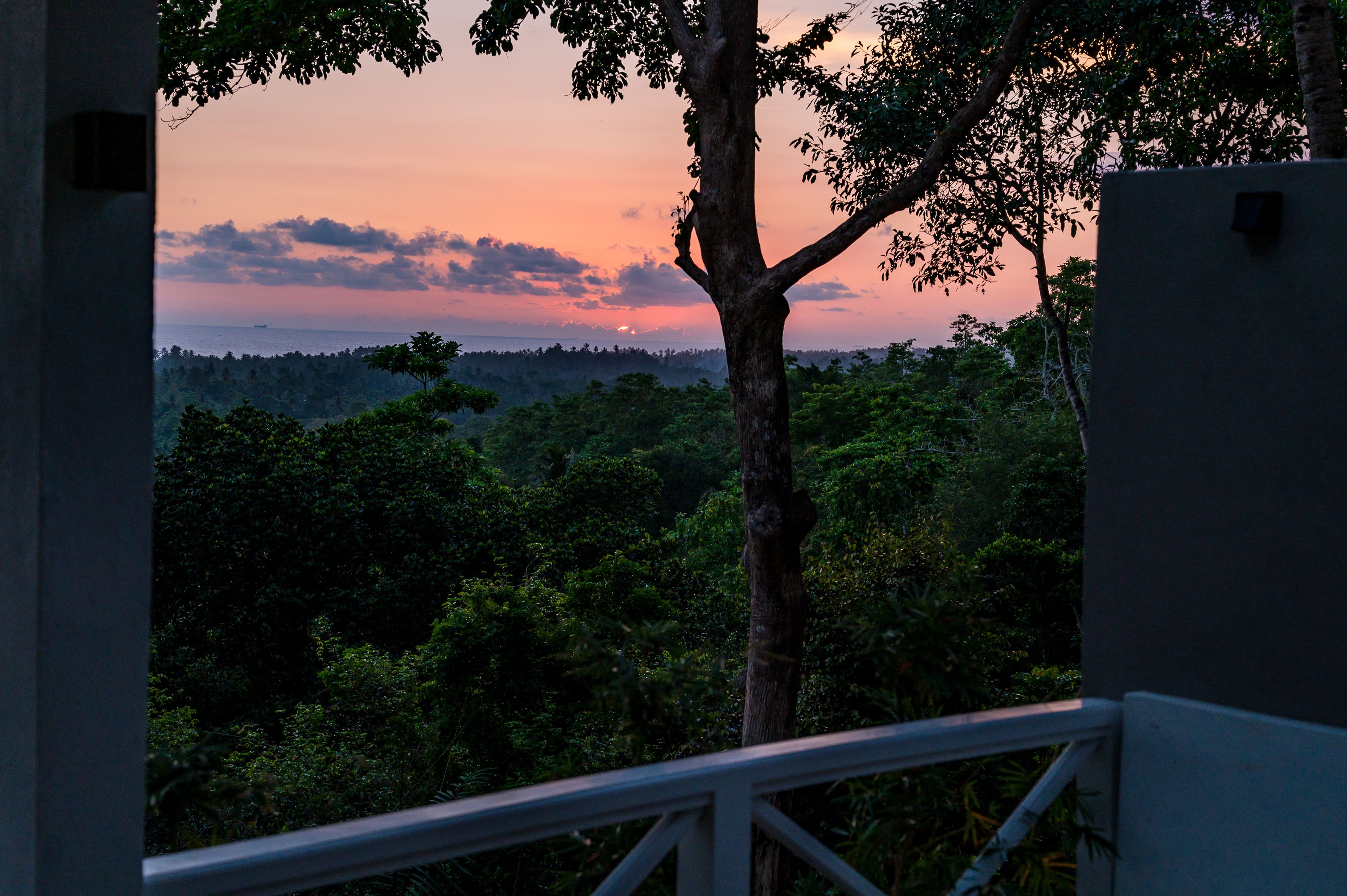 Vista de uma paisagem arborizada com o pôr do sol ao fundo.