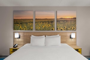 Quarto, 1 cama king-size, não fumadores | Edredões de penas, com decoração personalizada