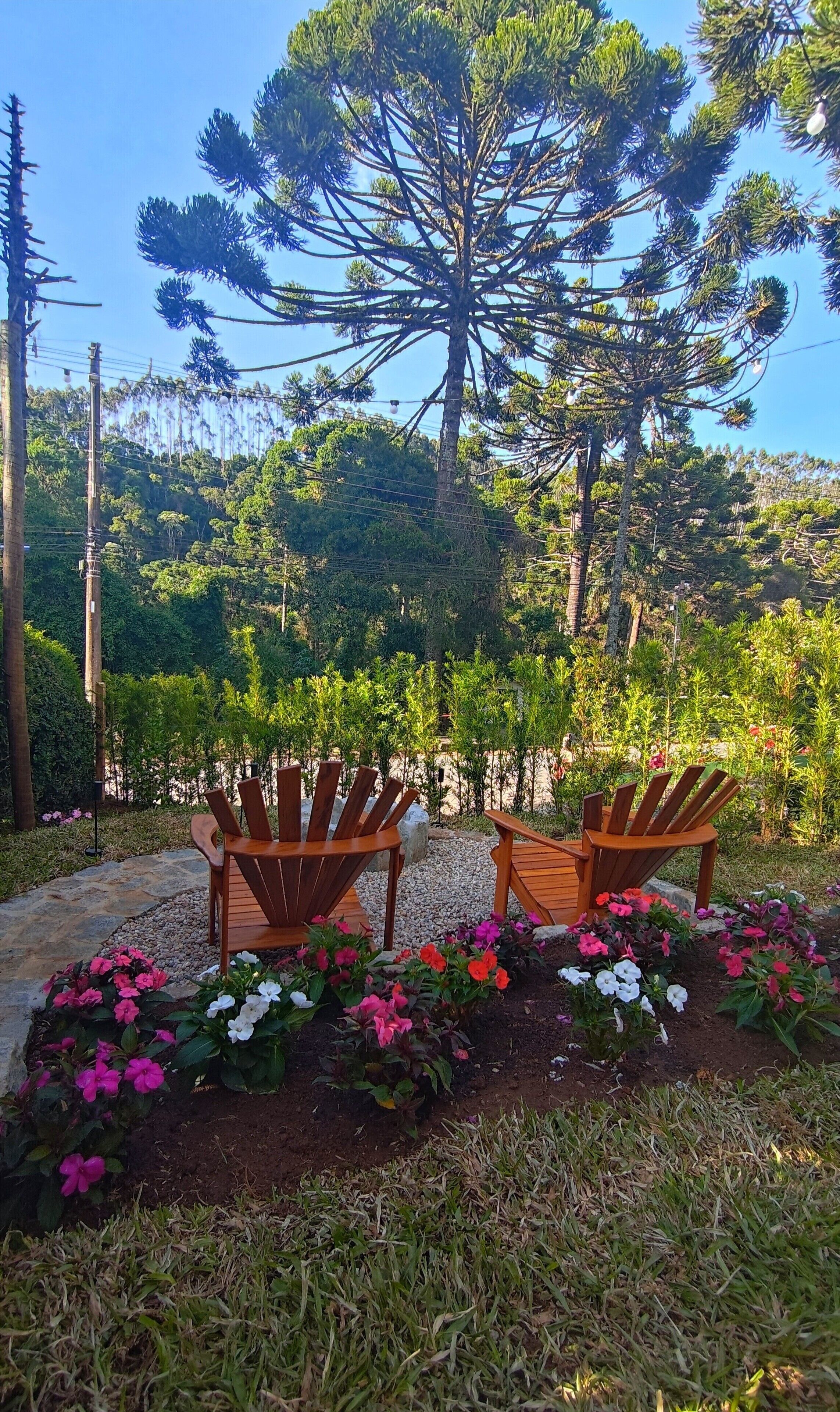 Duas cadeiras Adirondack de madeira em um jardim com diversas flores e uma grande pinheiro ao fundo.