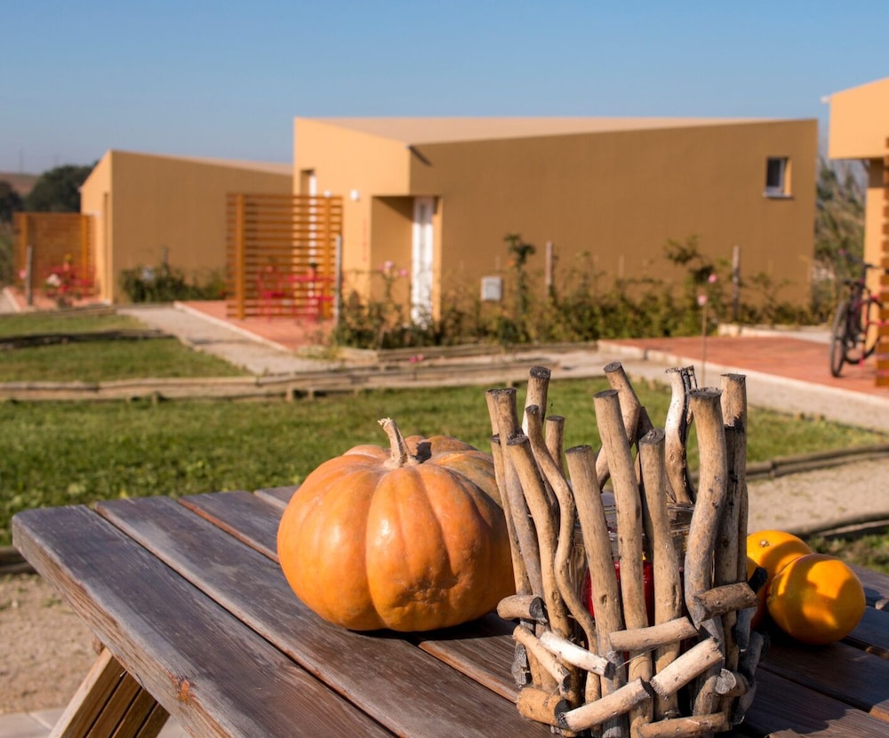 Entre Vinhas & Mar - Óbidos