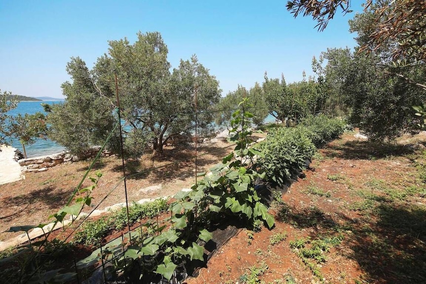 Bori Homestay Jika Jo - 檳城