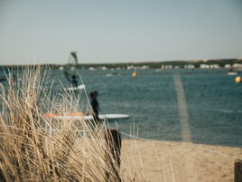 Uma praia com gramíneas altas em primeiro plano, areal arenoso e um mar tranquilo ao fundo.