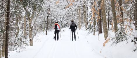 Duas pessoas praticam esqui cross-country em um caminho coberto de neve por uma floresta.
