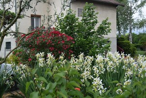 Um jardim com flores brancas e um edifício com varanda.
