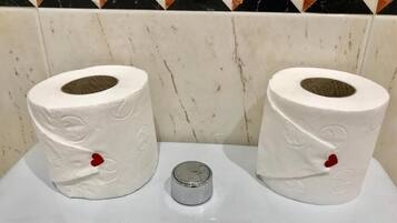 Um polibã, um secador de cabelo, um bidé, toalhas fornecidas