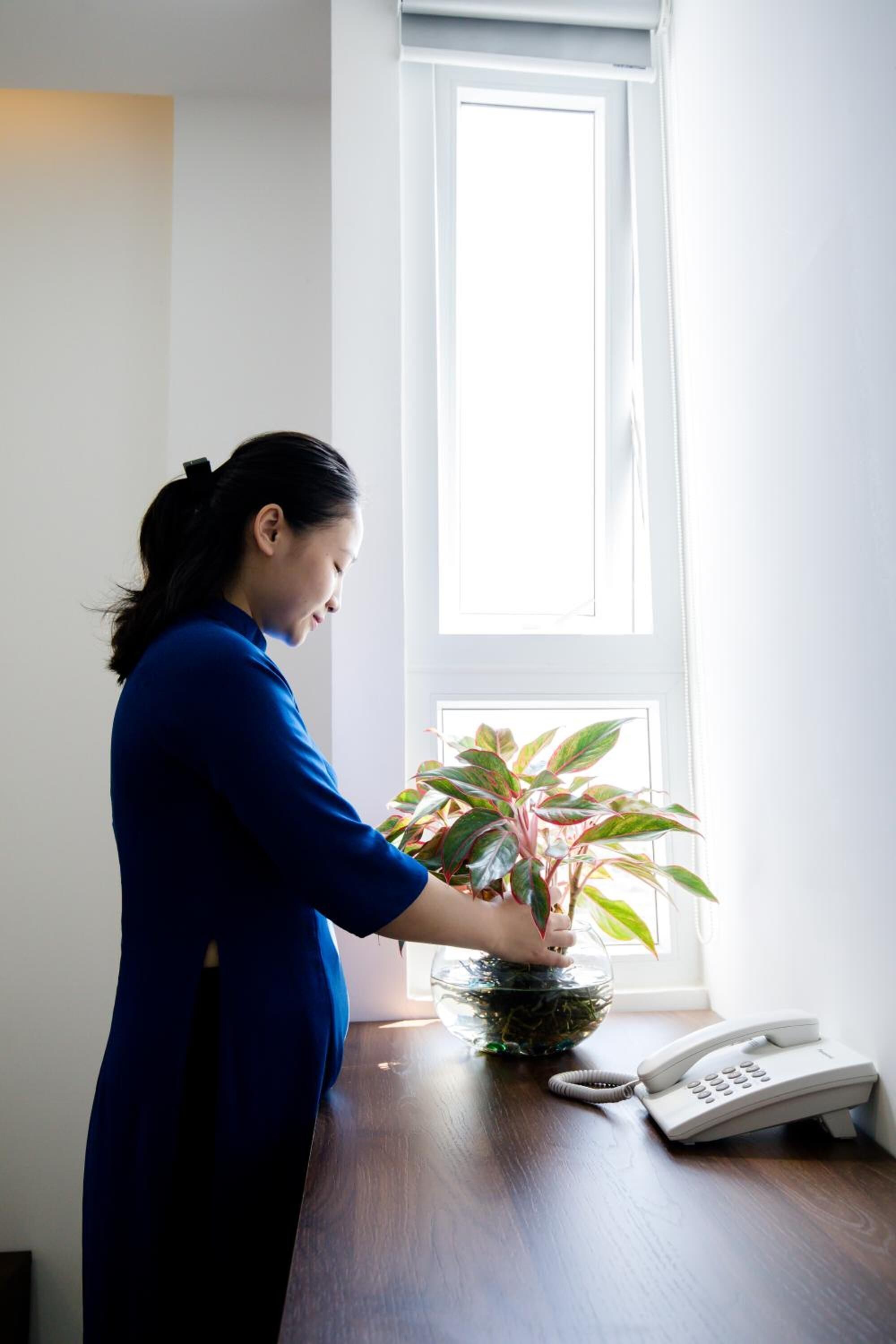 Uma pessoa de vestido azul arrumando uma planta num vaso de vidro sobre uma mesa de madeira ao lado de um telefone branco.