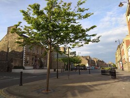 Rua arborizada com edifícios históricos de ambos os lados.