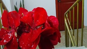 Uma escadaria com guarda-corpo dourado conduzindo a uma porta vermelha com uma figura amarela.