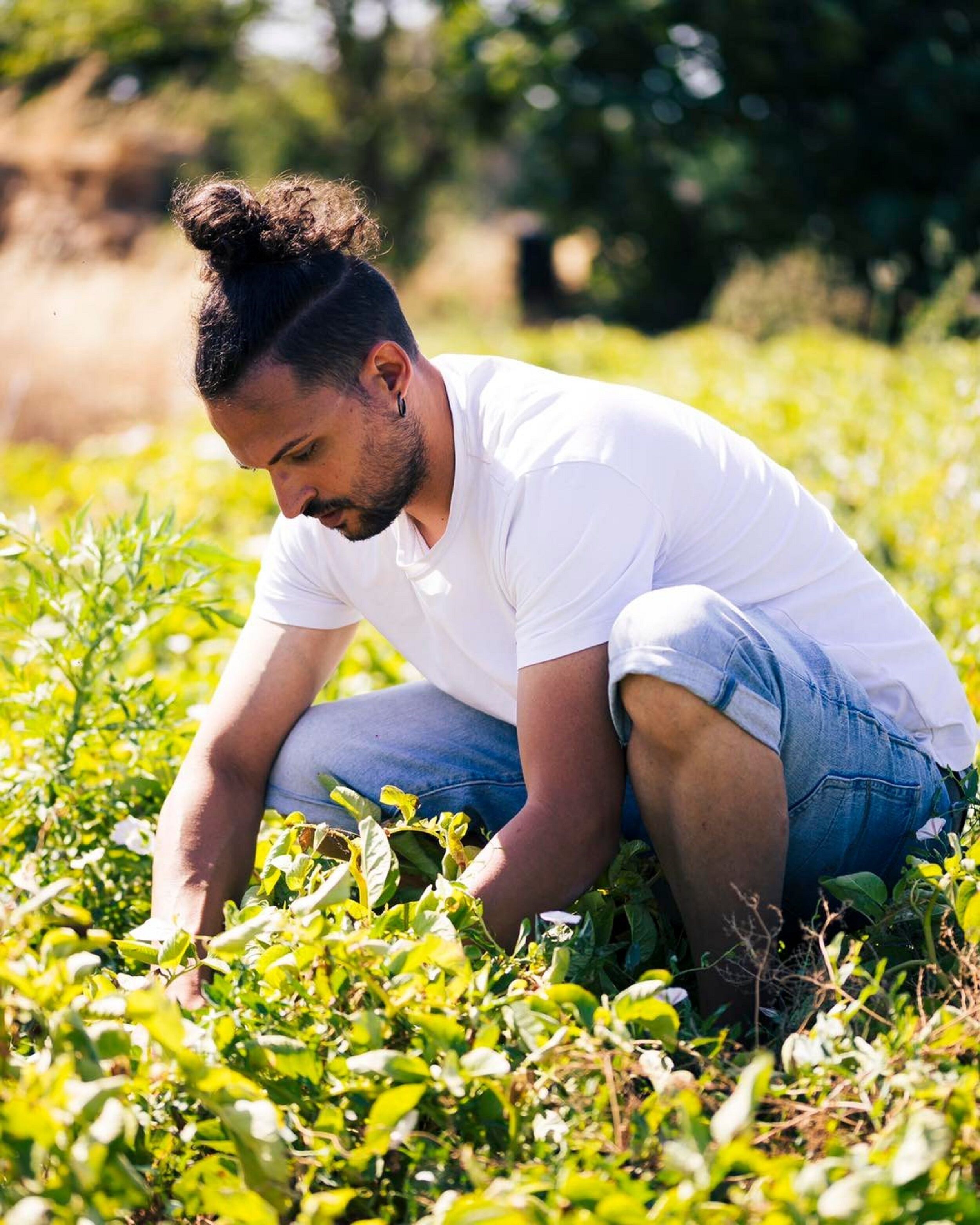 Uma pessoa agachada em um campo de plantas verdes.