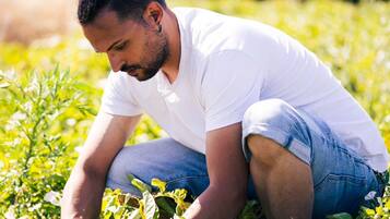 Uma pessoa agachada em um campo de plantas verdes.