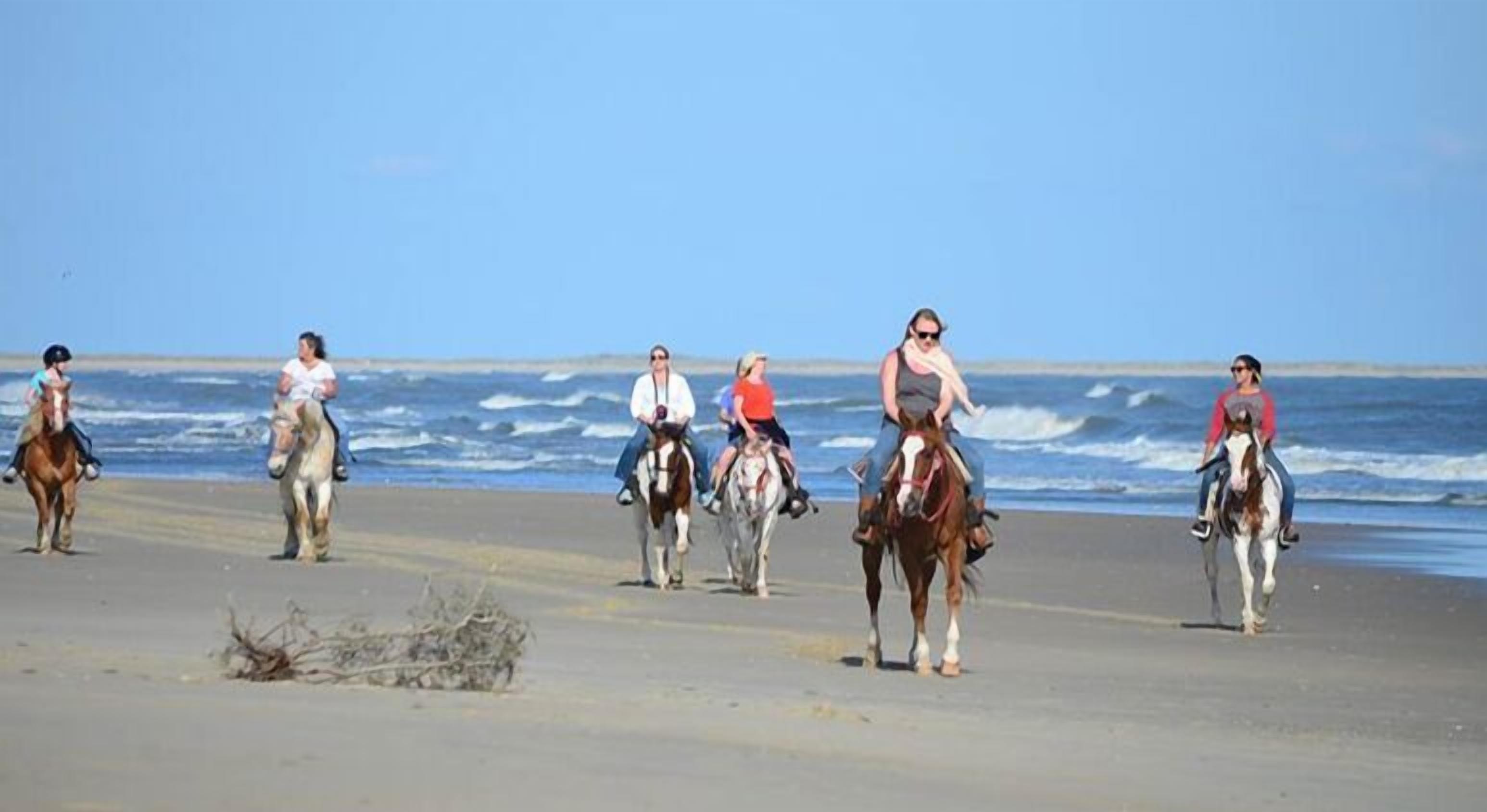 Uma praia com pessoas cavalgando cavalos.
