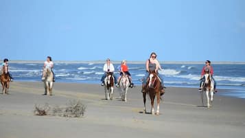 Uma praia com pessoas cavalgando cavalos.