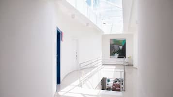 Pormenores do interior