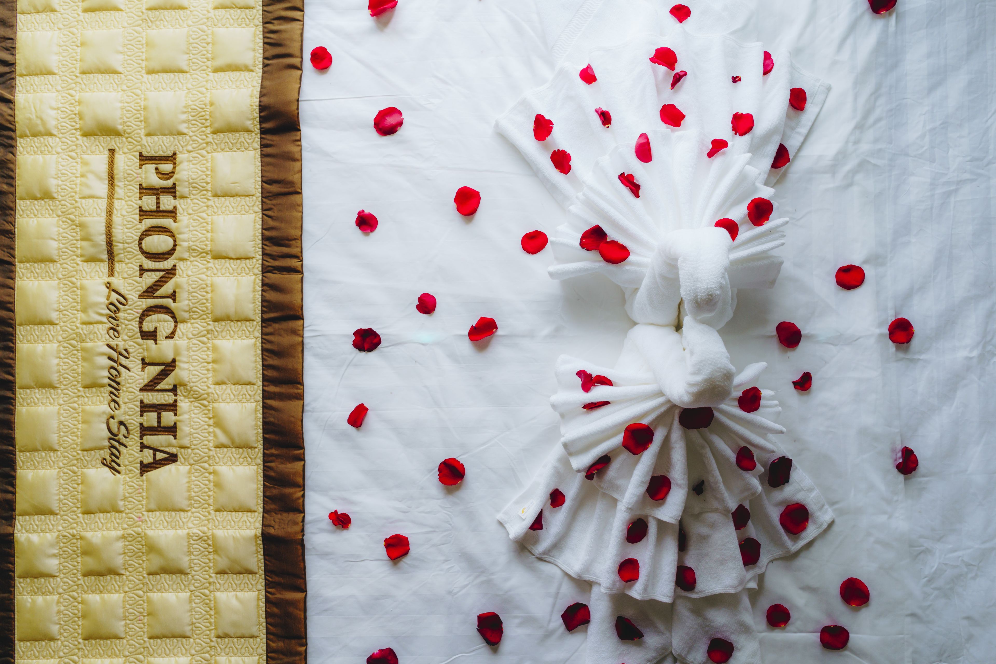 Cama com cabeceira acolchoada e lençol branco decorado com pétalas de rosa vermelhas.