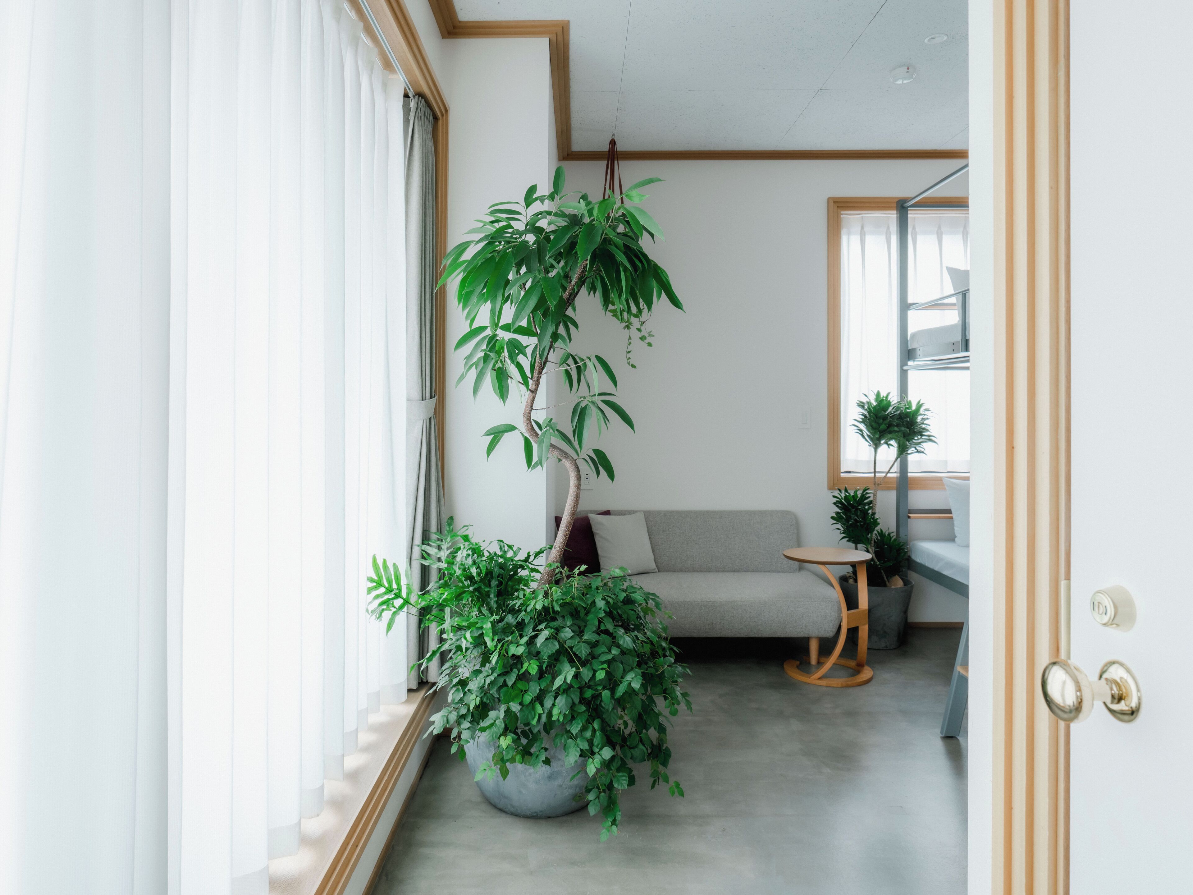 Quarto Twin Standard, não fumadores (Bunk bed) | 1 quarto, secretária, cortinas/cortinados opacos 