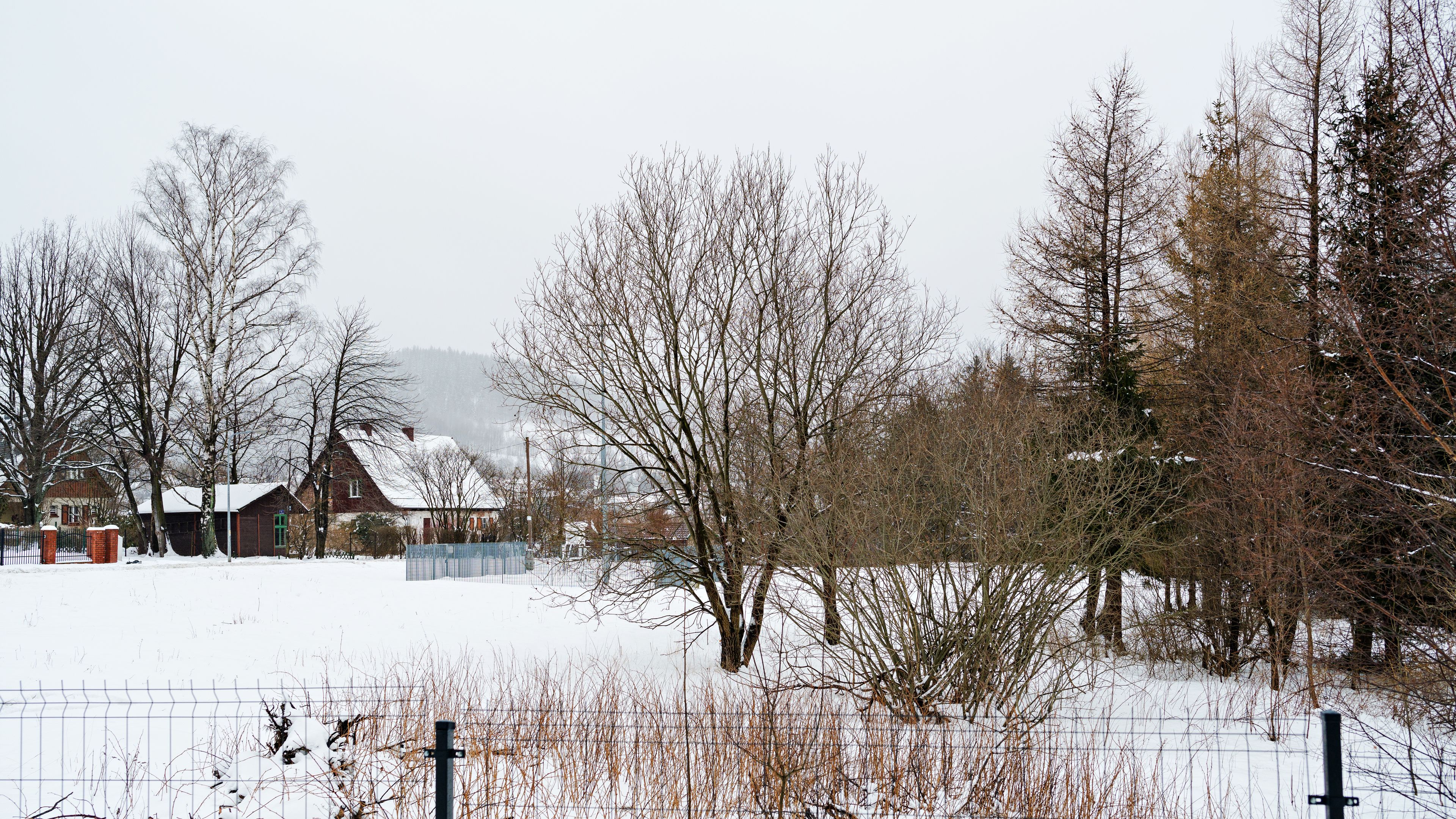 Paisagem rural com um campo coberto de neve, uma casa de madeira e árvores sem folhas.