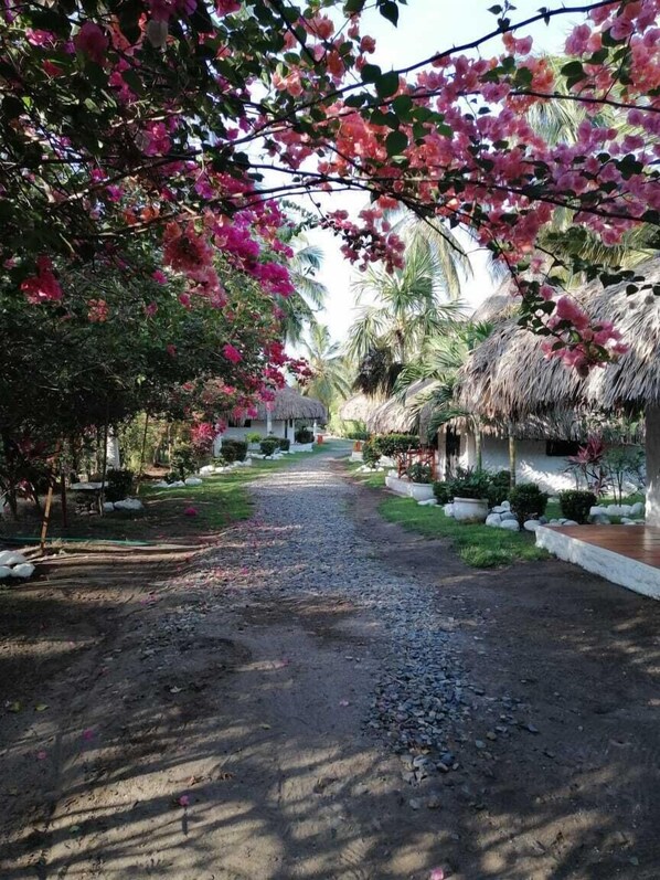 Pormenores do exterior