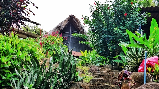 Escadaria de pedra que leva a uma construção com telhado de palha, cercada por vegetação exuberante e plantas tropicais.