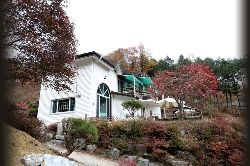 Pine Aroma Pension - Chuncheon-si